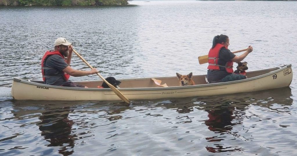 Is It Safe to Canoe With a Dog? | The Kas Pack | Pet-Friendly Outdoor ...