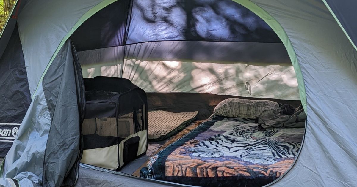 8 Easy Ways to Pet-Proof Your Tent | The Kas Pack | Pet-Friendly ...