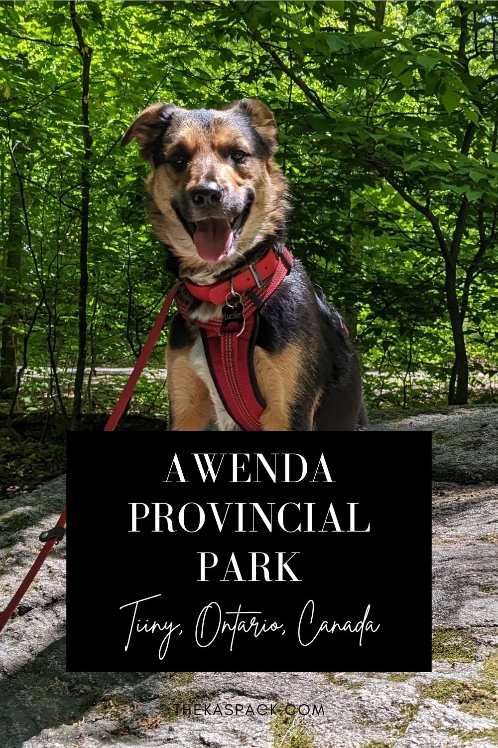 Awenda Provincial Park: Video Review | The Kas Pack | Pet-Friendly ...