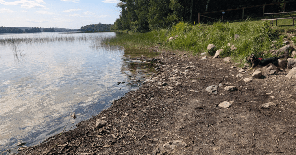 Restoule Provincial Park: Video Review | The Kas Pack | Pet-Friendly ...
